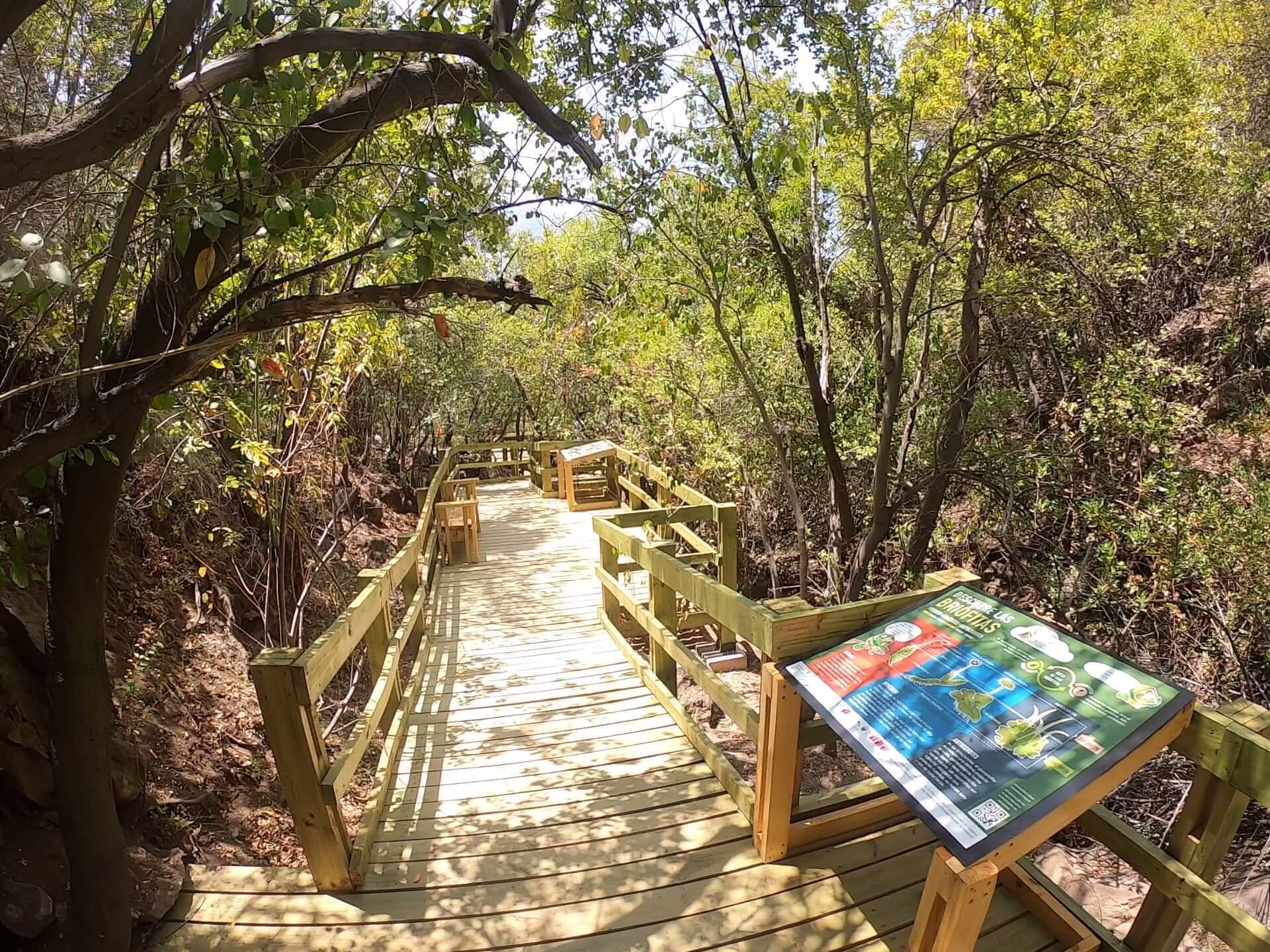 Sendero del agua y experiencia de realidad virtual: lo nuevo de la Ruta ...