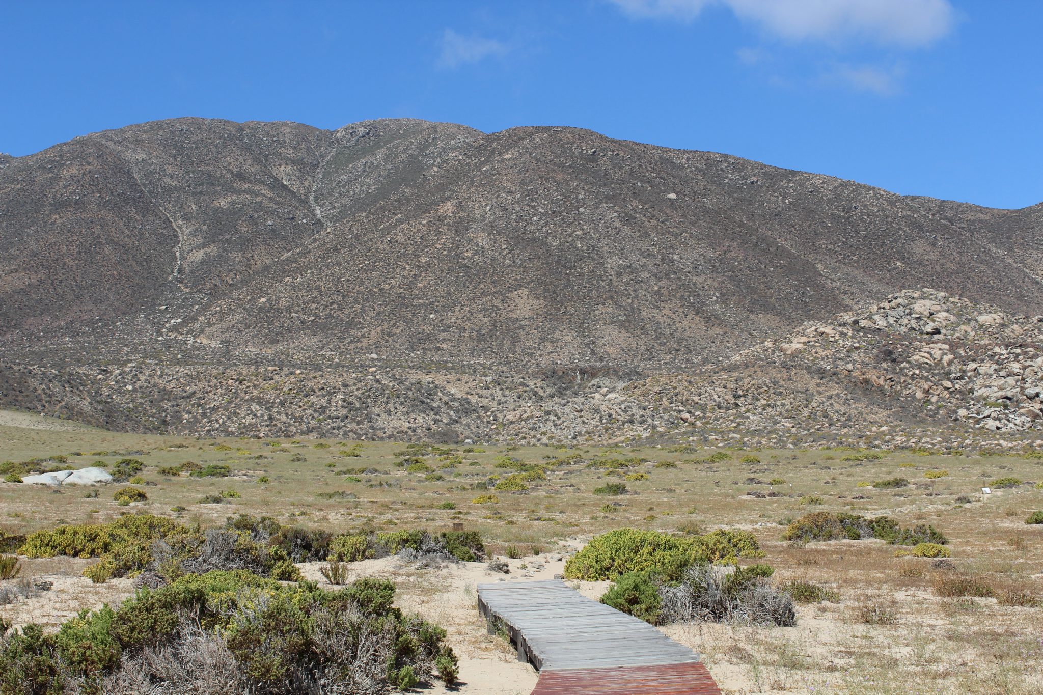 Parque Nacional Llanos de Challe: la combinación perfecta entre playa y ...