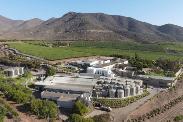 Pisco MalPaso: tu mejor paso - Red Turismo Chile