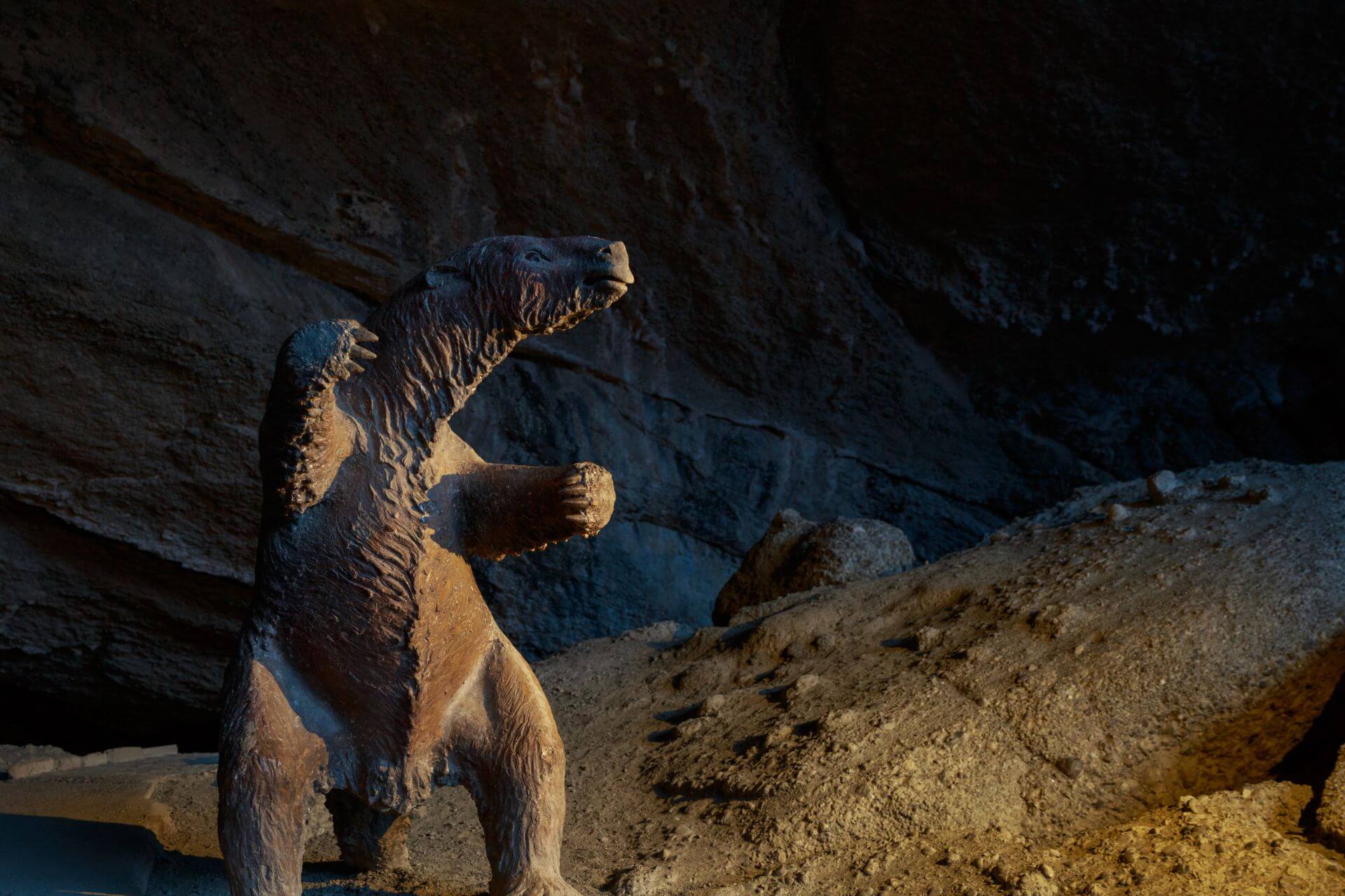 15 Imperdibles para explorar en la Región de Magallanes y Antártica ...